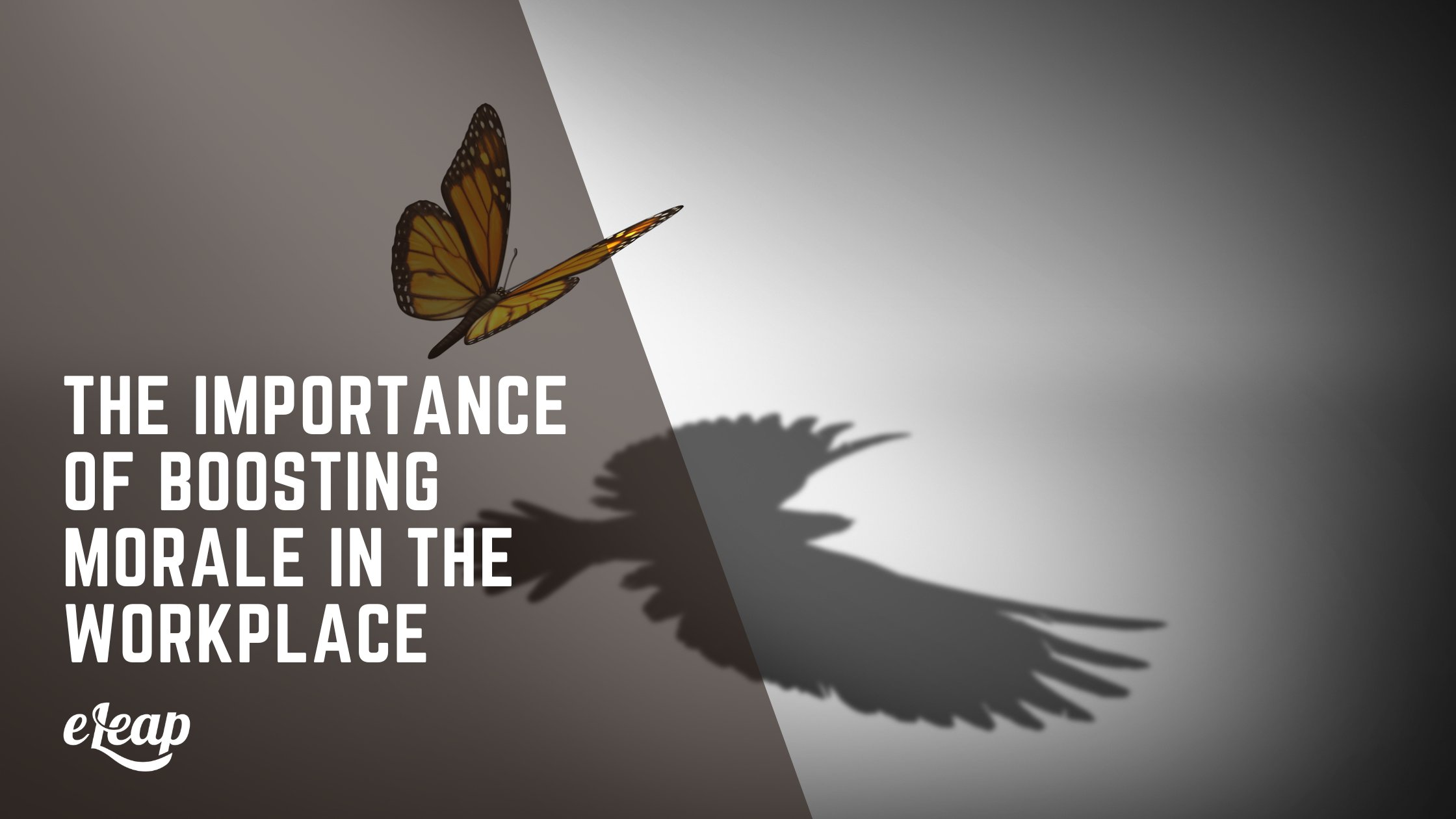 The Importance of Boosting Morale in the Workplace - eLeaP Performance